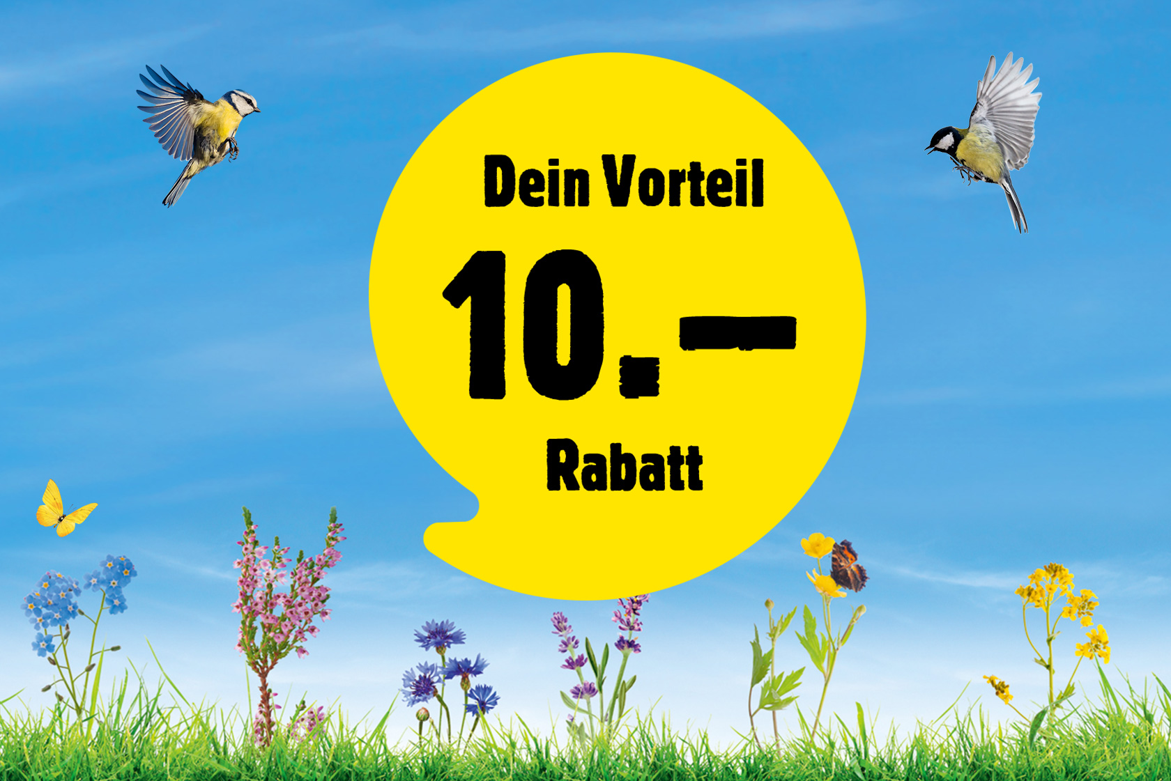 Newsletter von JUMBO