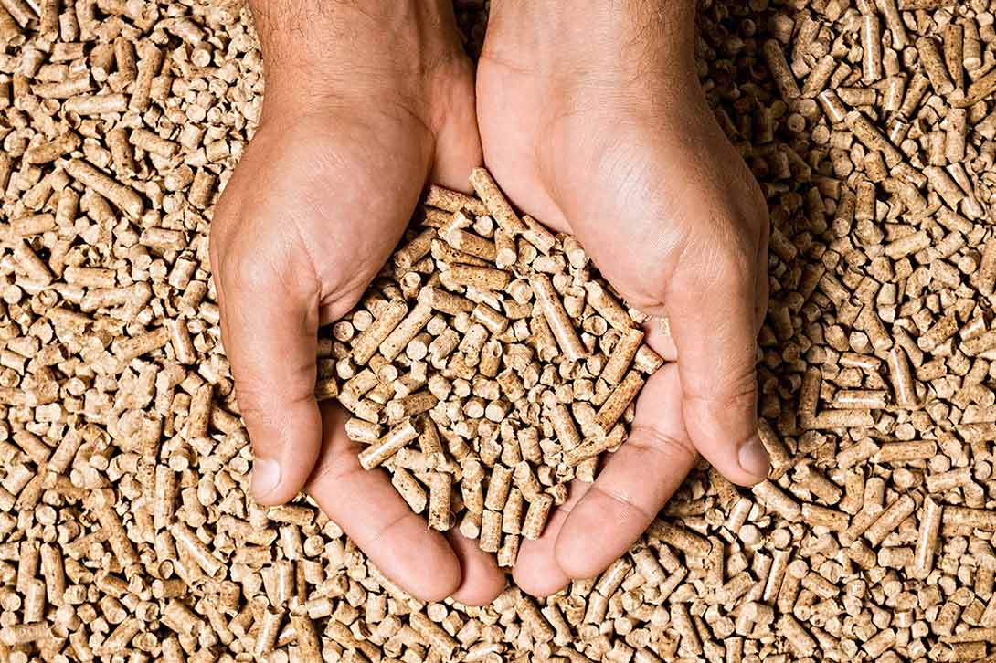 Holz-Pellets lose online bestellen und liefern lassen - JUMBO