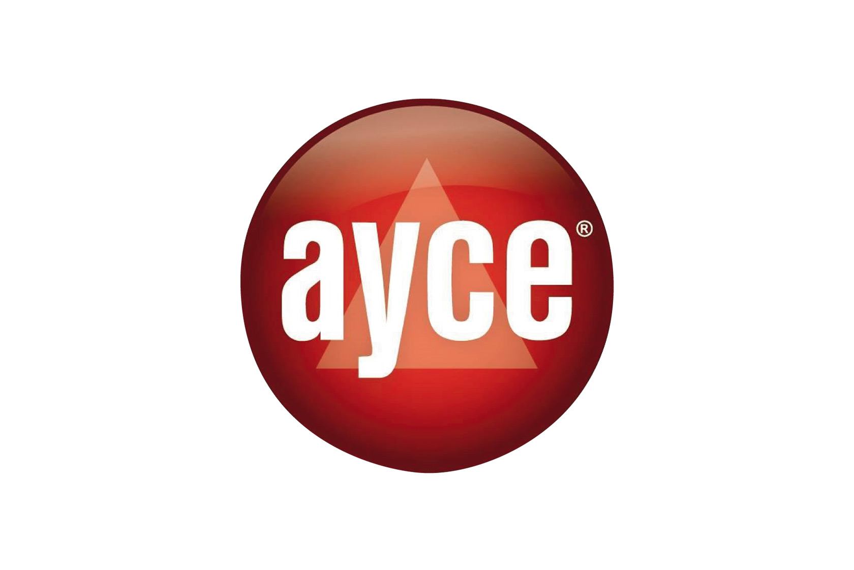 Ayce Click & Work Akkusystem | JUMBO
