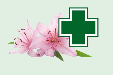 Maag Volpan | 0.2 l kaufen bei JUMBO