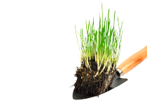 Maag Volpan | 0.2 l kaufen bei JUMBO