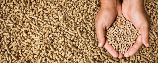 Holz-Pellets lose online bestellen und liefern lassen - JUMBO