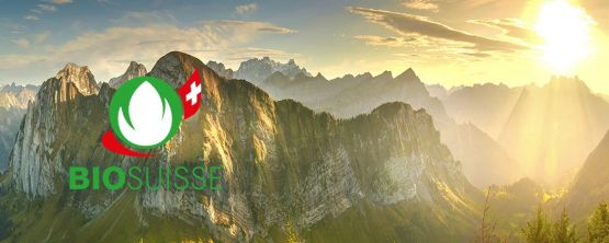 Le Bourgeon Bio Suisse chez JUMBO
