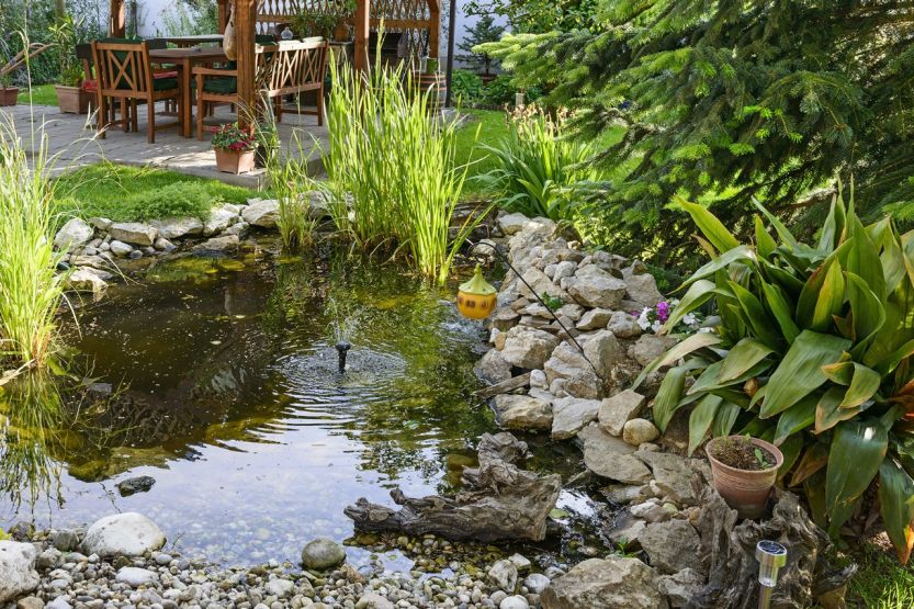 Costruire uno stagno: ecco come fare – JUMBO