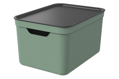 Rotho Deko Box mit Deckel A4 JIVE kaufen bei JUMBO