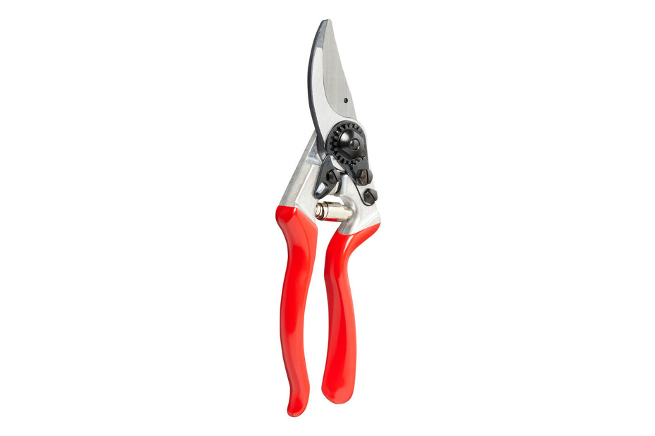 Felco 8 Sécateur Rouge Acheter chez JUMBO