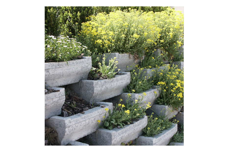 Pierre de talus Primavera Gris | 40 × 30 × 14 cm Acheter chez JUMBO