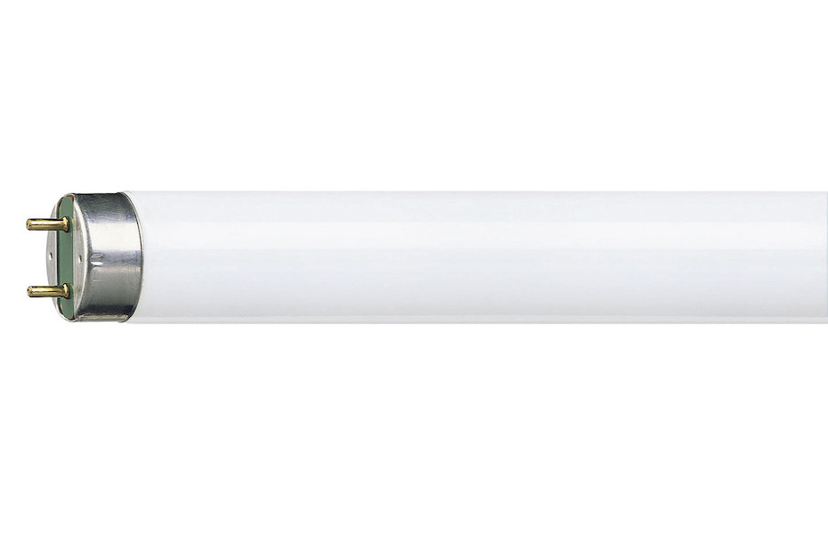 Philips LED Röhre TL5 Kaltweiss | 21 W kaufen bei JUMBO