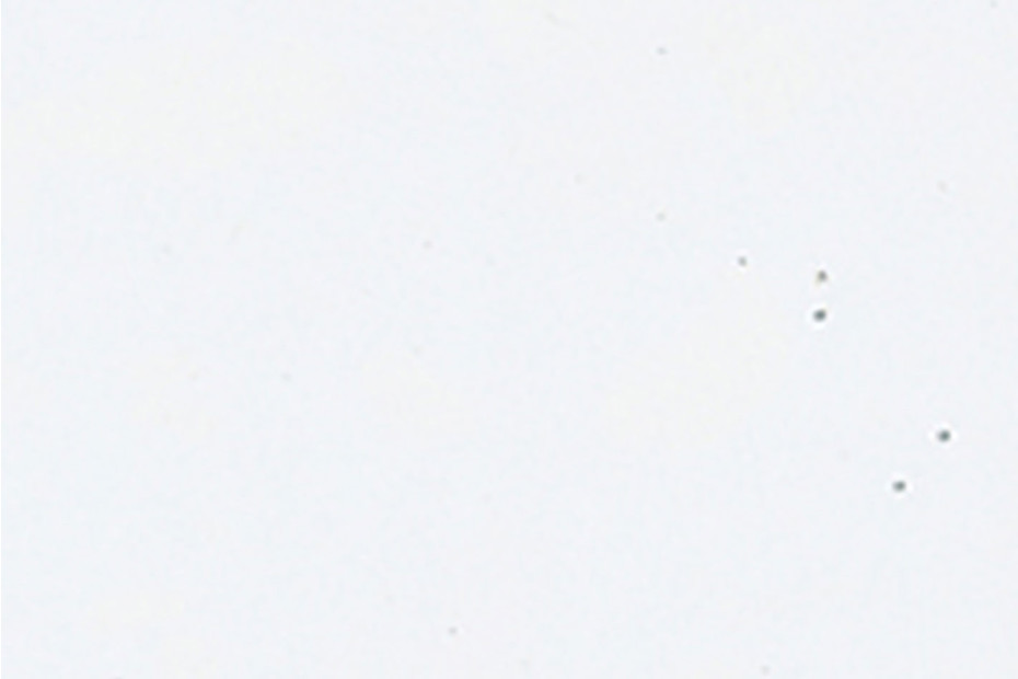 Rayher Window-Color Easy Paint Fensterfarbe Weiss- | 80 ml kaufen bei JUMBO