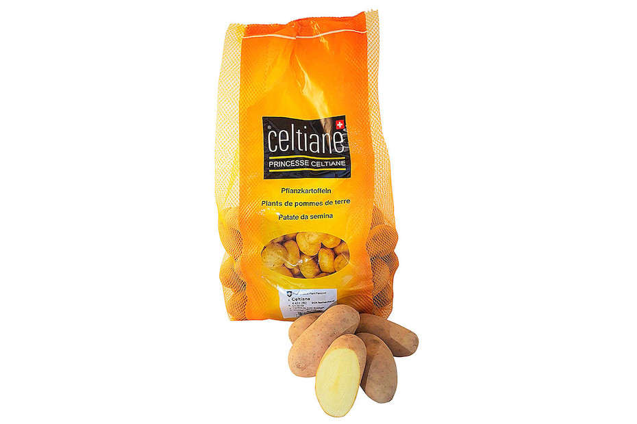 Saatkartoffeln CELTIANE 2.5 kg kaufen bei JUMBO
