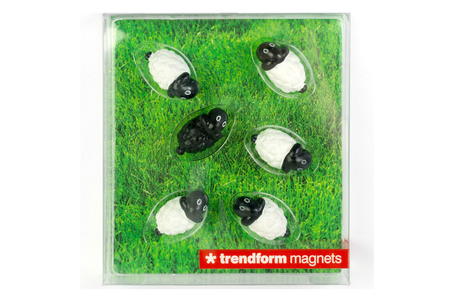 Set de 6 aimants SHEEP Acheter chez JUMBO