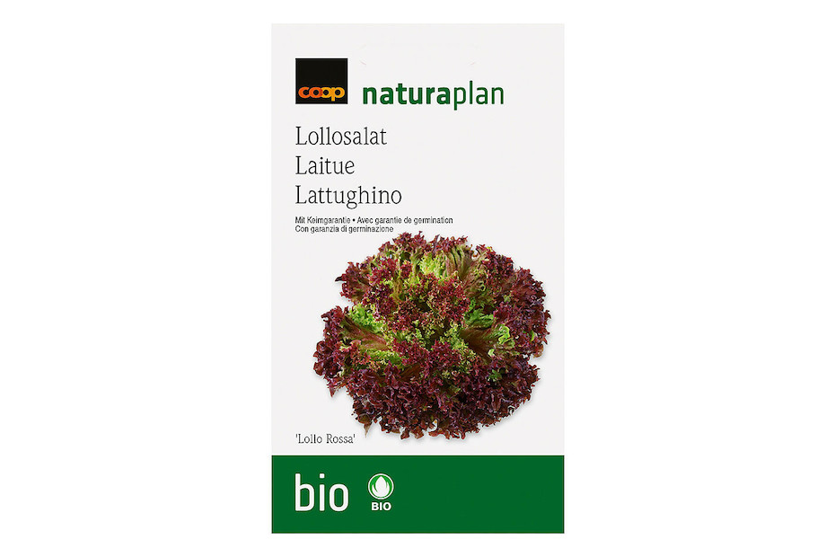 Naturaplan Bio-Lollosalat Lollo Rossa kaufen bei JUMBO