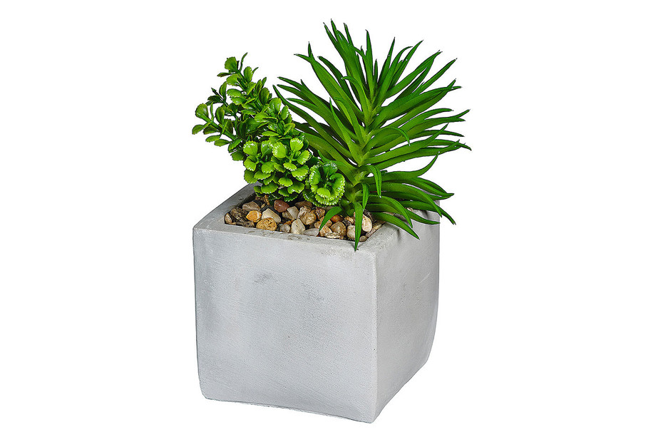My Home Pot en ciment avec plante artificielle | 15 cm Acheter chez JUMBO
