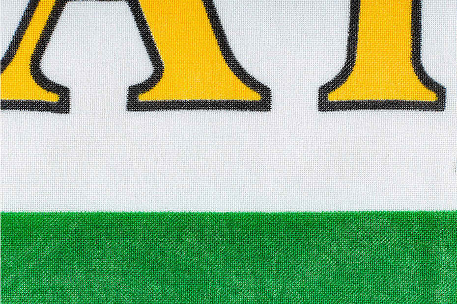 Drapeau à hisser Canton Vaud 150 x 150 cm Acheter chez JUMBO