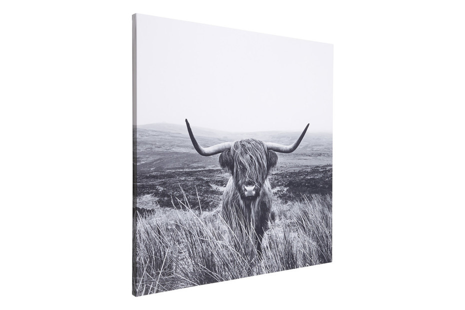 Leinwandbild CANVAS Highlander kaufen bei JUMBO