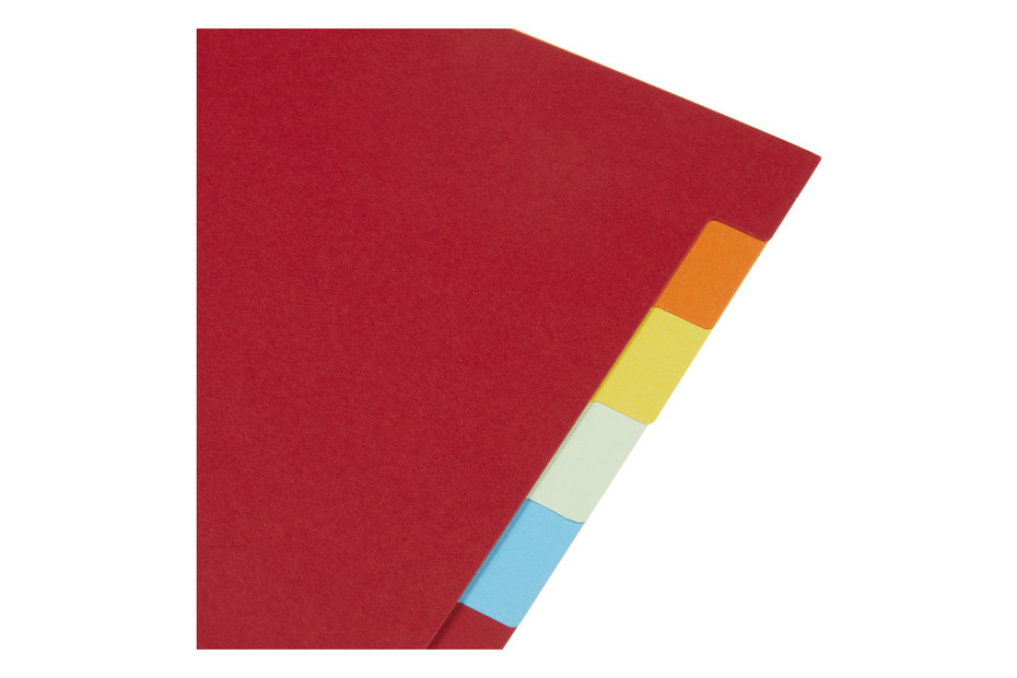 Karton-Register A4 kaufen bei JUMBO