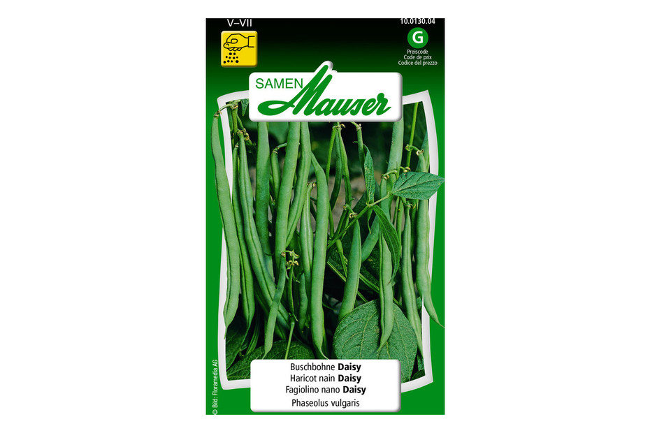 Samen Mauser Buschbohnen Daisy kaufen bei JUMBO
