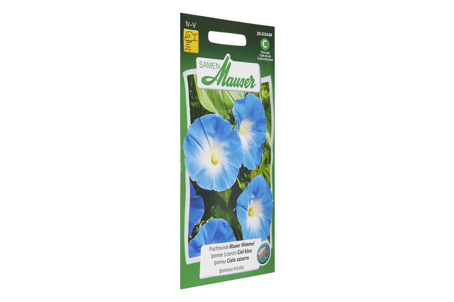 Mauser Ipomoea Liseron Ciel Bleu Acheter chez JUMBO