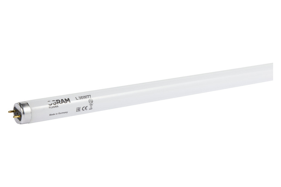 Osram Tube Fluorescent Fluora G13 | 36 W | 1400 lm Acheter chez JUMBO