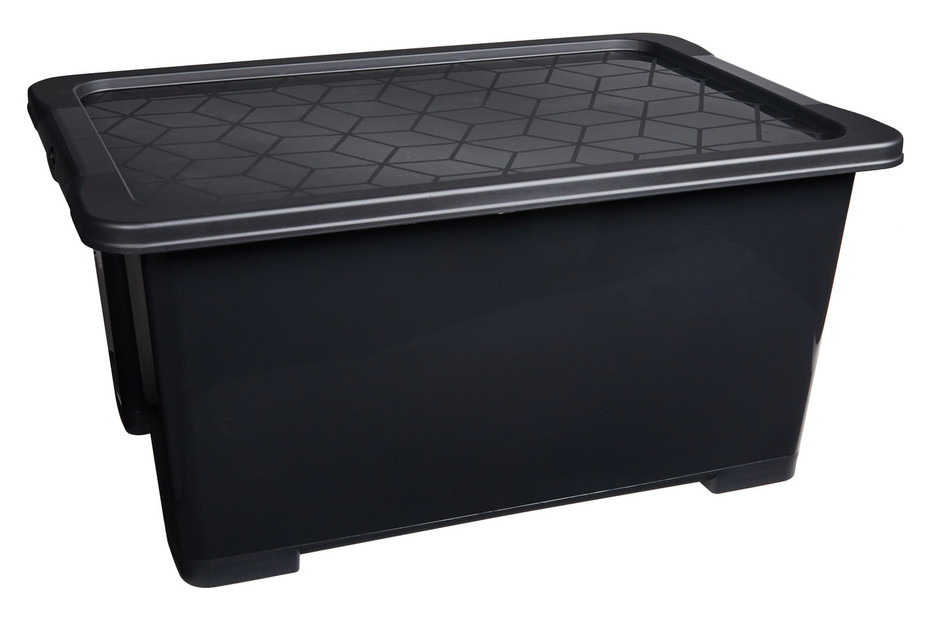 Rotho Box Evo Easy Storage mit Deckel | 44 l kaufen bei JUMBO