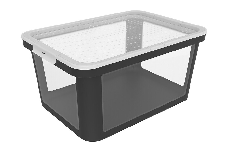 Rotho Box mit Stülpdeckel Albris | 27 × 39.2 × 57 cm | 45 l kaufen bei ...