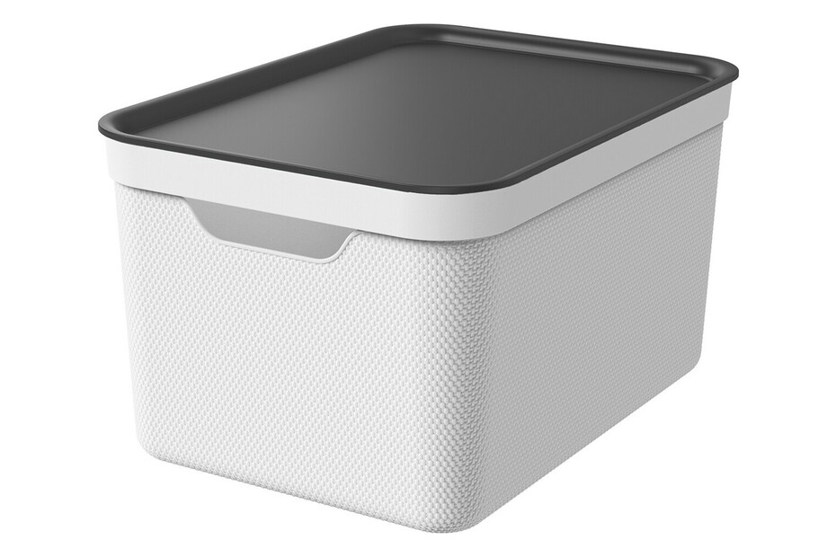 Rotho Deko Box mit Deckel A4 JIVE kaufen bei JUMBO