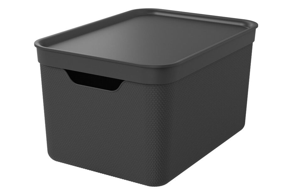 Rotho Deko Box mit Deckel A4 JIVE kaufen bei JUMBO